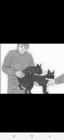 Помощь вязки