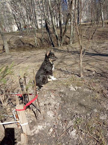 Друг в семью)