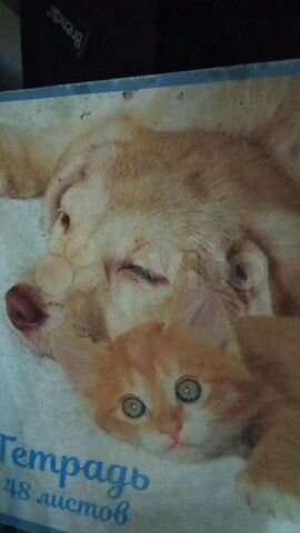 Реставрация аквариумов обслуживания ремонт сборка