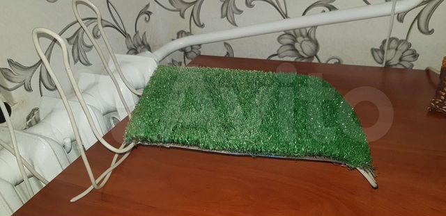 Островок для черепахи