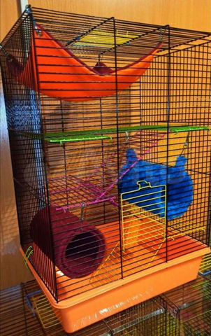 Крыса Крысята с клеткой,стартовый набор